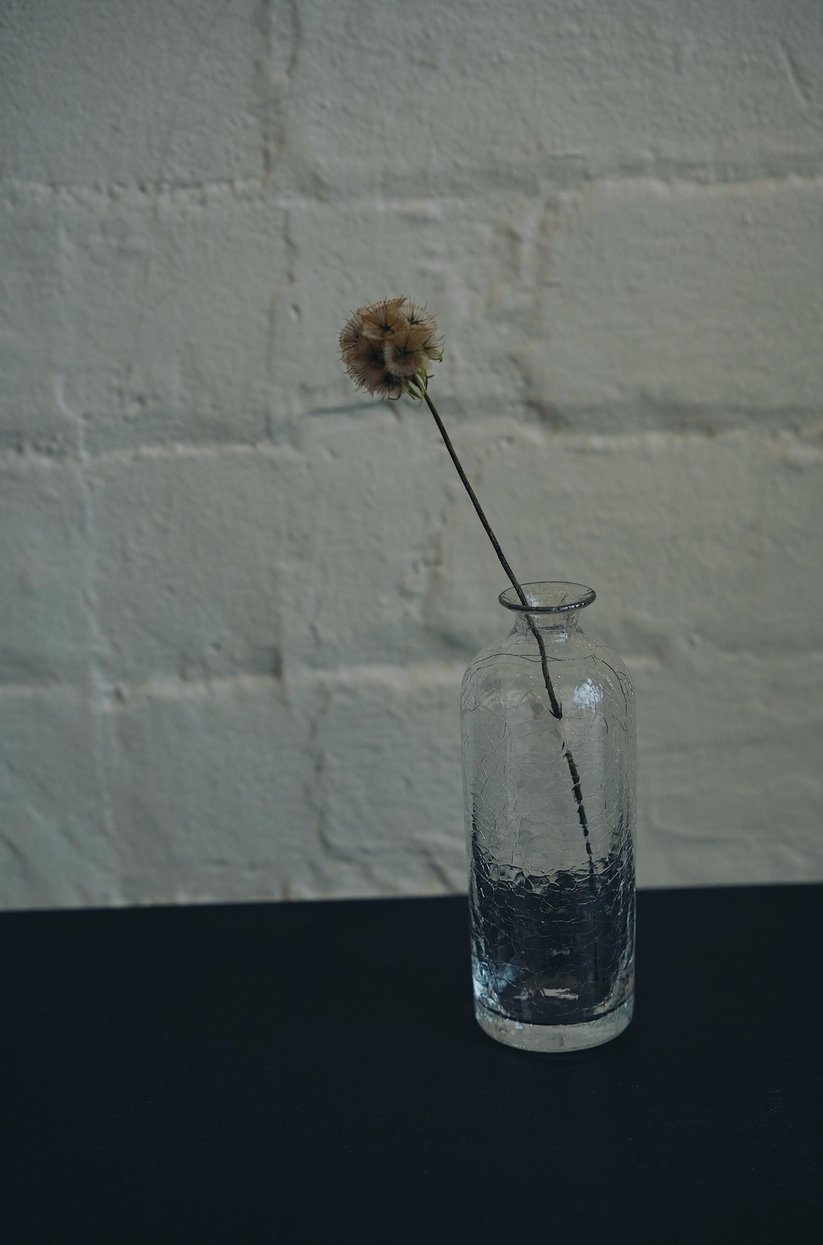 Daisaku Hashimura - CRACK Ichirin-zashi Vase Clear (NEW) – Kurashi ...