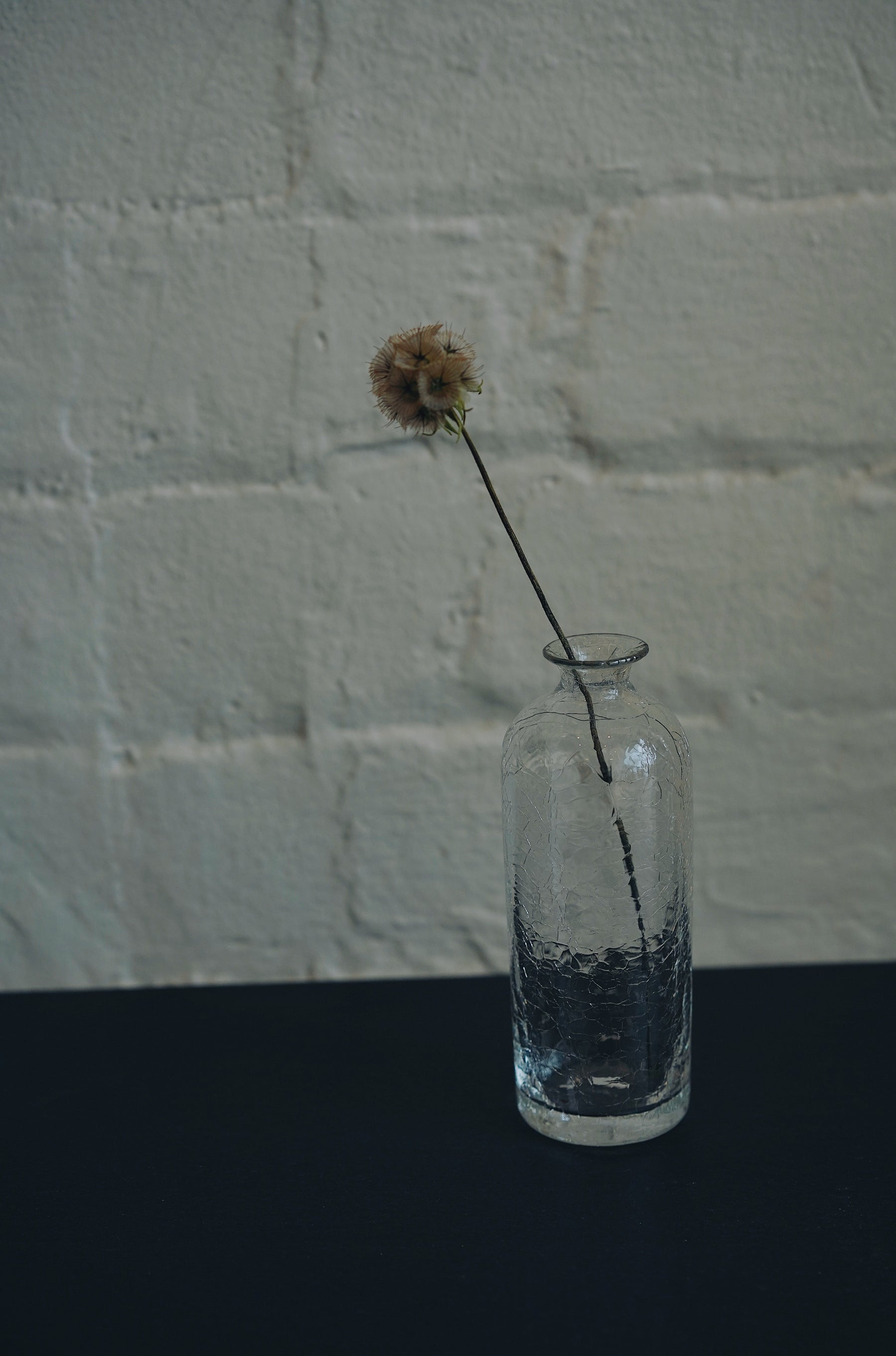 Daisaku Hashimura – Kurashi Japanese Crafts